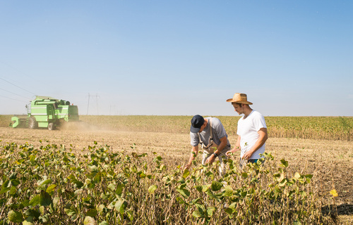 Ausbildung Landwirt/in beim Top Ausbilder| azubis.de